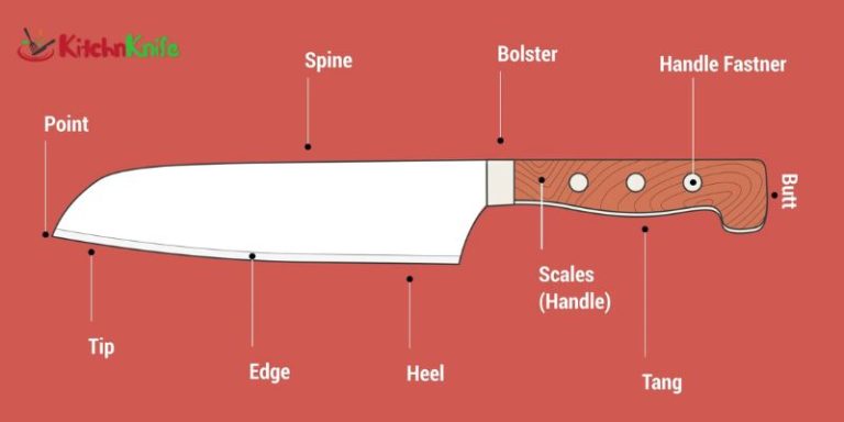 Kitchen Knife Anatomy Explained: A Complete Guide - KitchnKnife ...