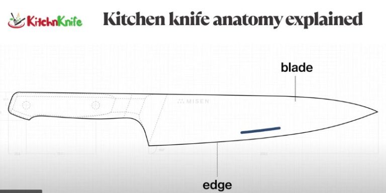 Kitchen Knife Anatomy Explained: A Complete Guide - KitchnKnife ...