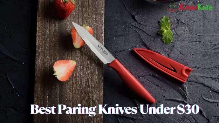 Best Paring Knives Under $30 - Expert Reviews - KitchnKnife – Honest ...