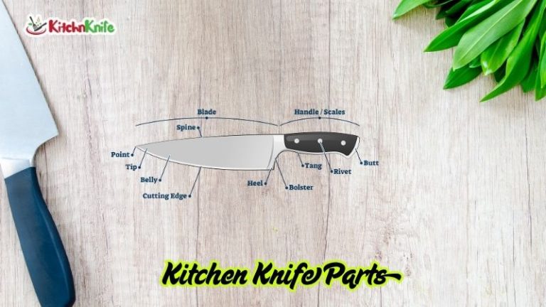 Kitchen Knife Parts Guide: Complete Anatomy & Names (2025 ...